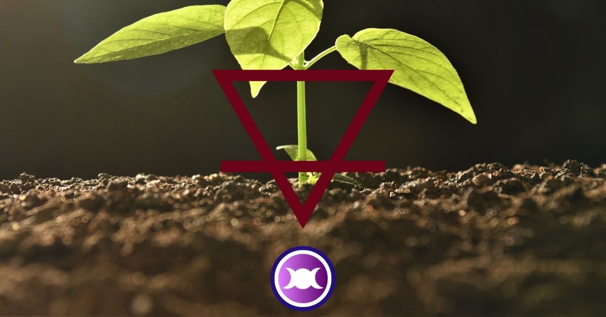 What are Nature Spirits? The powerful 4 Elemental Beings!