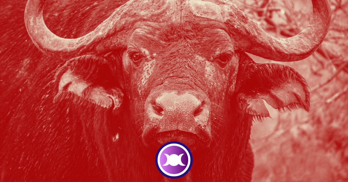 Oya Orisha - The Powerful Yoruba Goddess of Storms