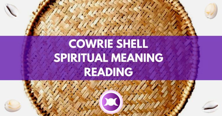 16 Cowrie Shells spiritual meaning + Free Shell reading