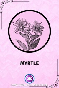 9 Symbols of Aphrodite: Uncovering the Goddess of Love