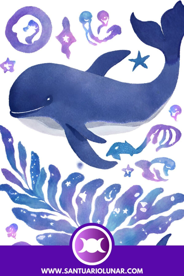 Spirit Animal Oracle - Get a piece of advice from an animal