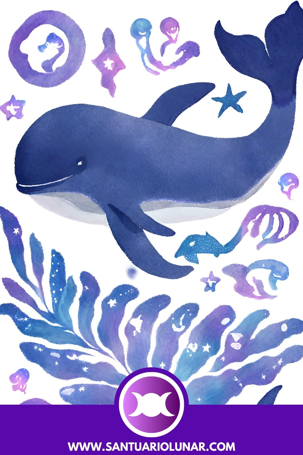 Spirit Animal Oracle - Get a piece of advice from an animal